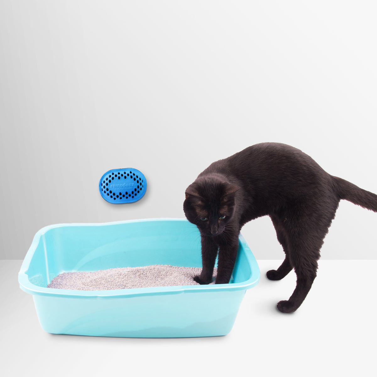 remodeez Small Space Deodorizer | Remove Odors from Litter Boxes ...